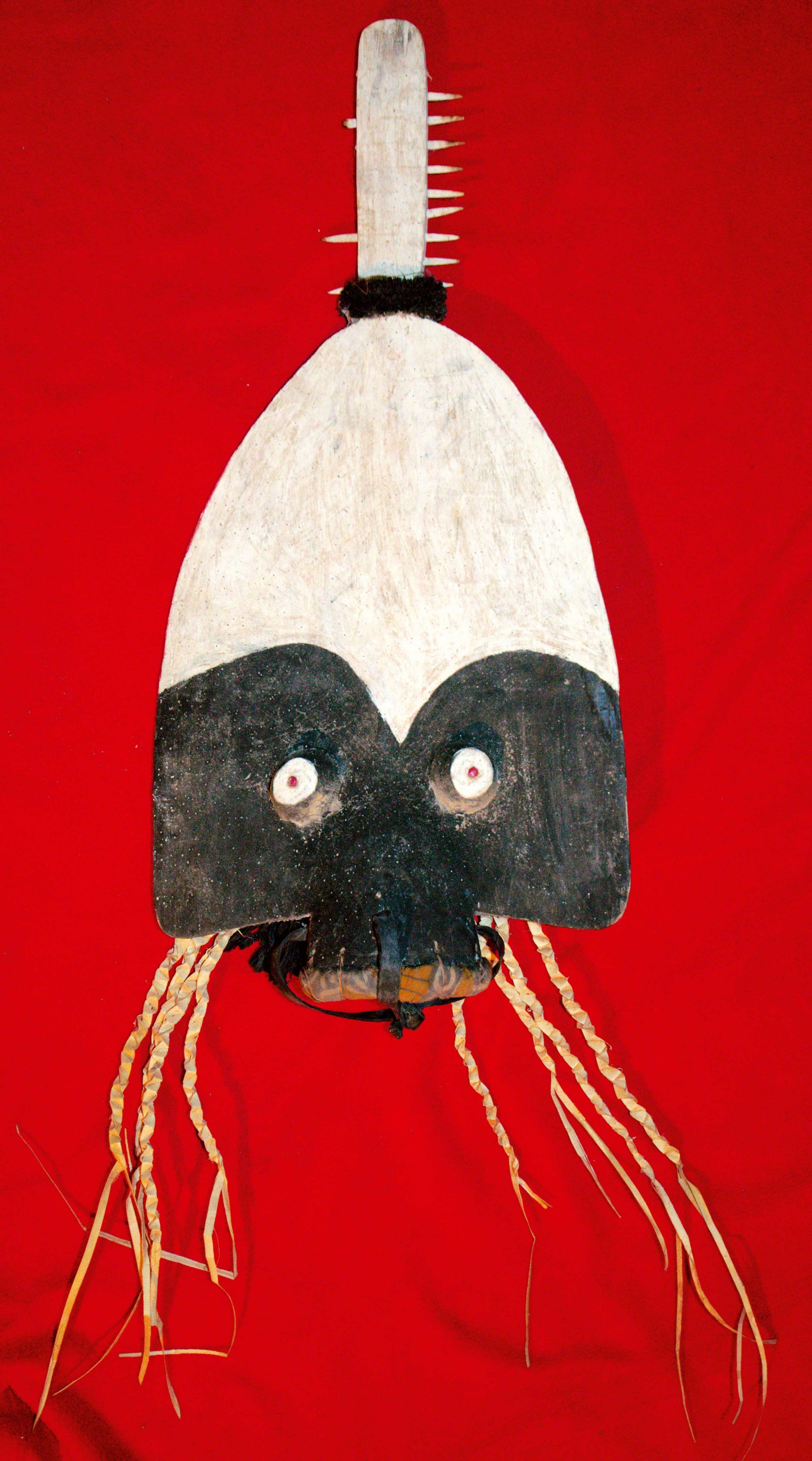 Sawfishes in traditional tales | Save Our Seas Magazine