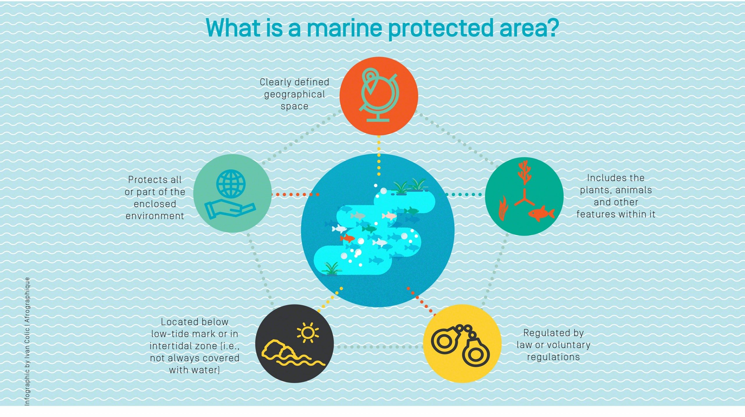 Nature Reserves at Sea: The Beginning | Save Our Seas Magazine