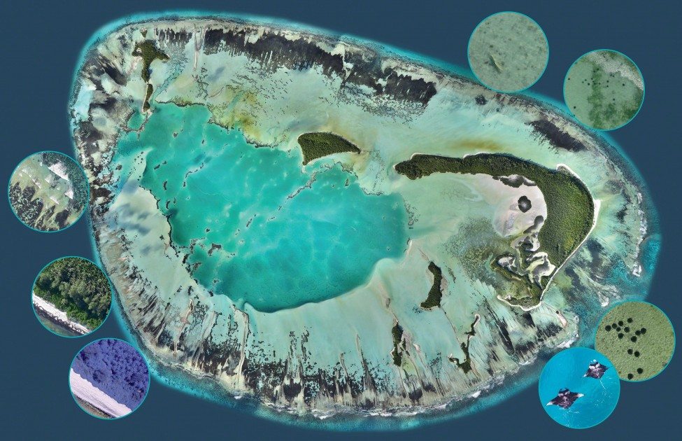 Drones across the water | Save Our Seas Magazine