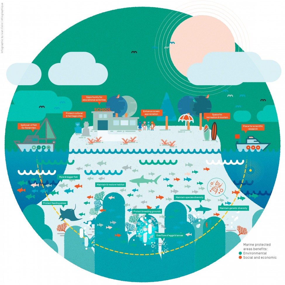 Marine Protected Area Infographic | Save Our Seas Magazine