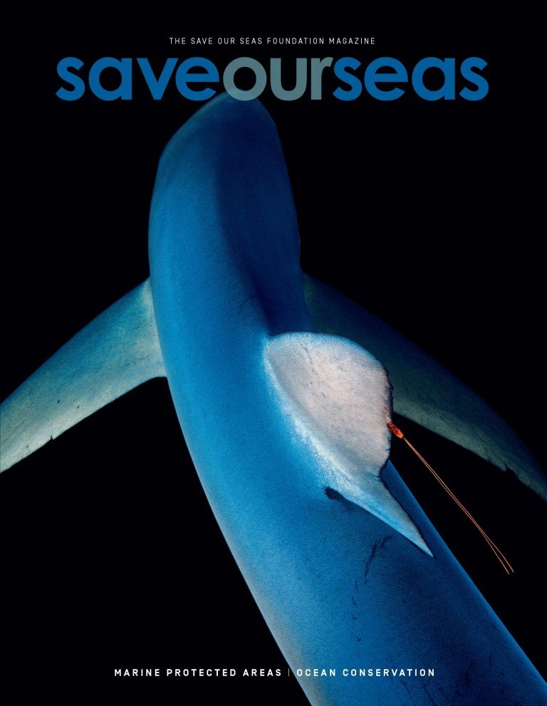 #5 Marine Protected Areas | Ocean Conservation | Save Our Seas Magazine