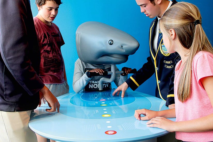 Shark senses via Virtual Reality | Save Our Seas Magazine