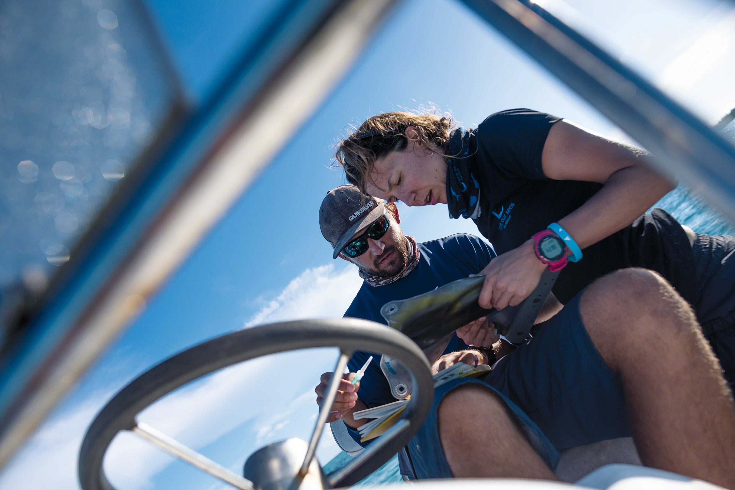 The Social Network | Save Our Seas Magazine