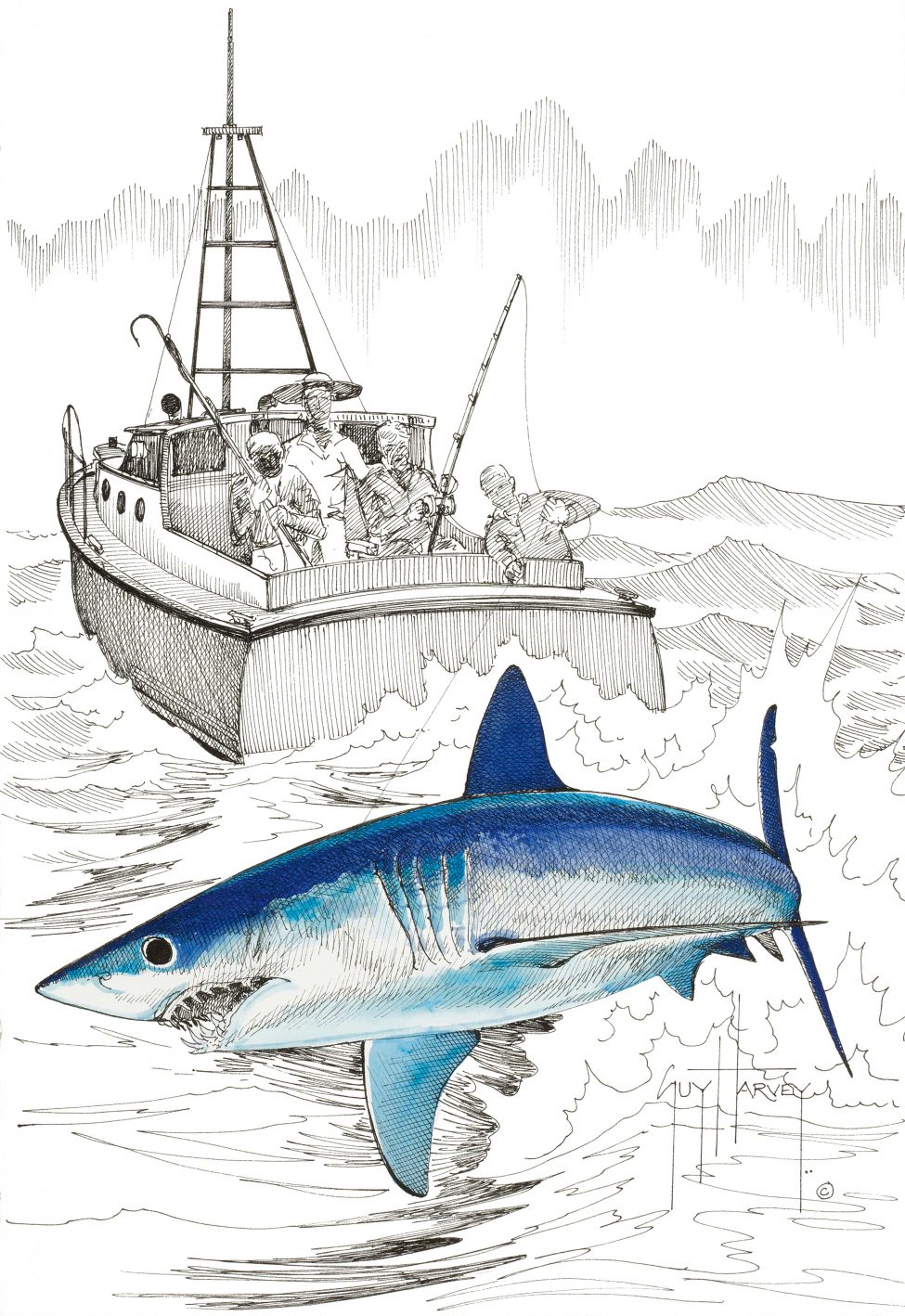 Fishing for approval | Save Our Seas Magazine