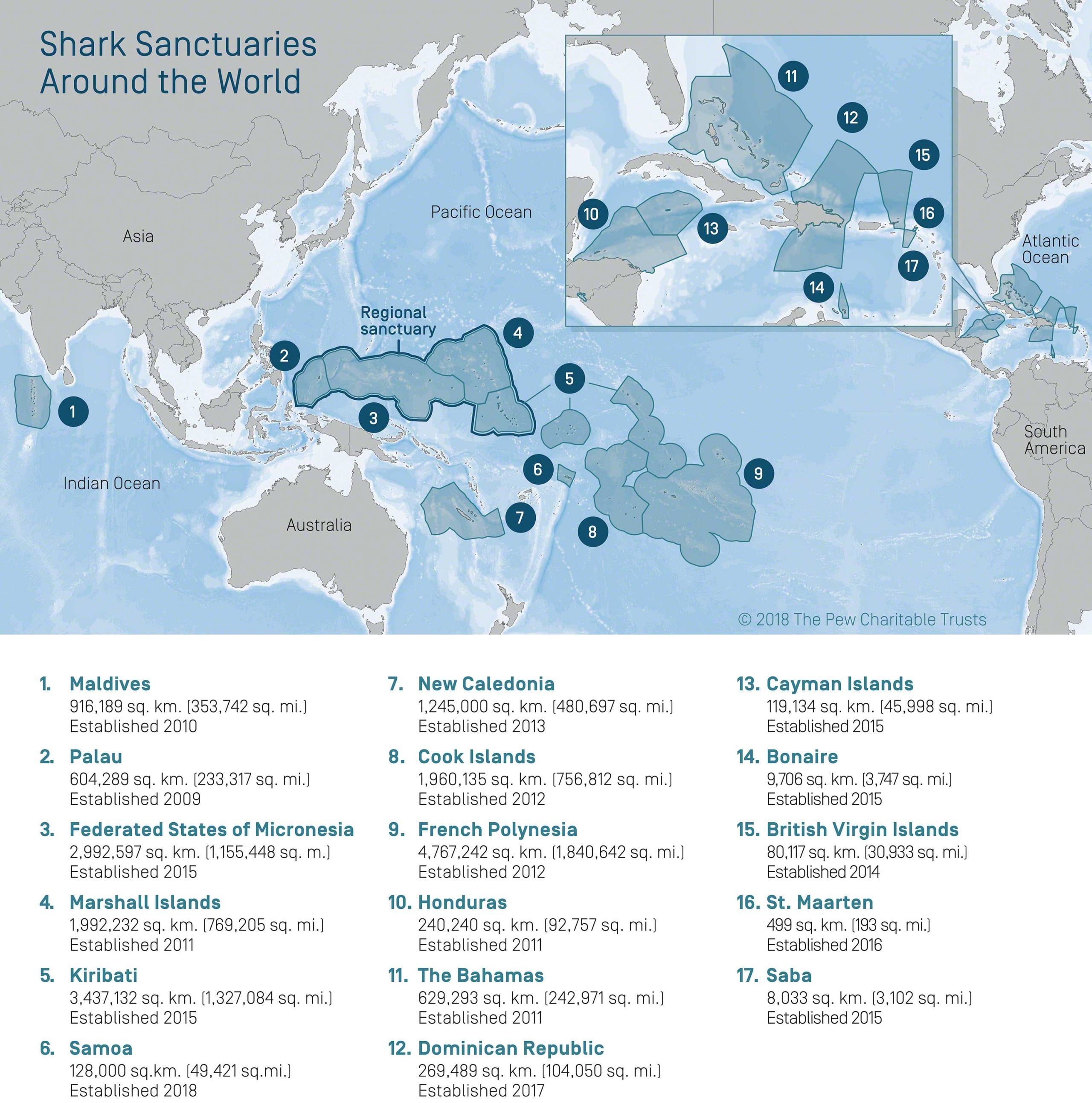 Are sharks safer in sanctuaries? | Save Our Seas Magazine