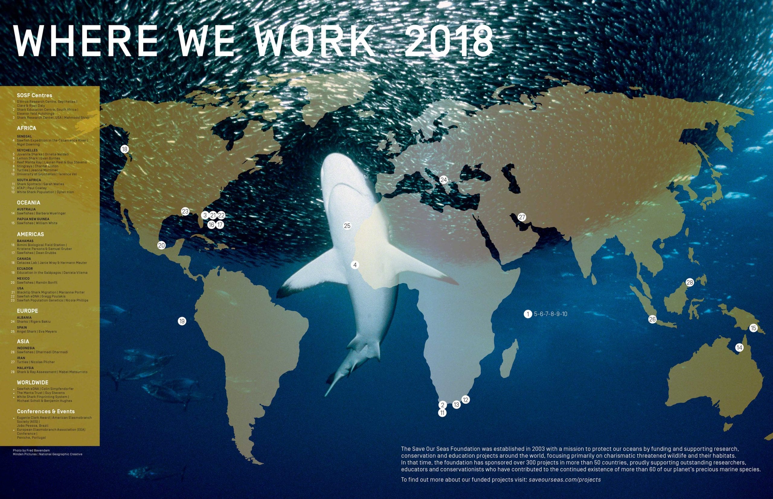 Editorial #09 | Save Our Seas Magazine